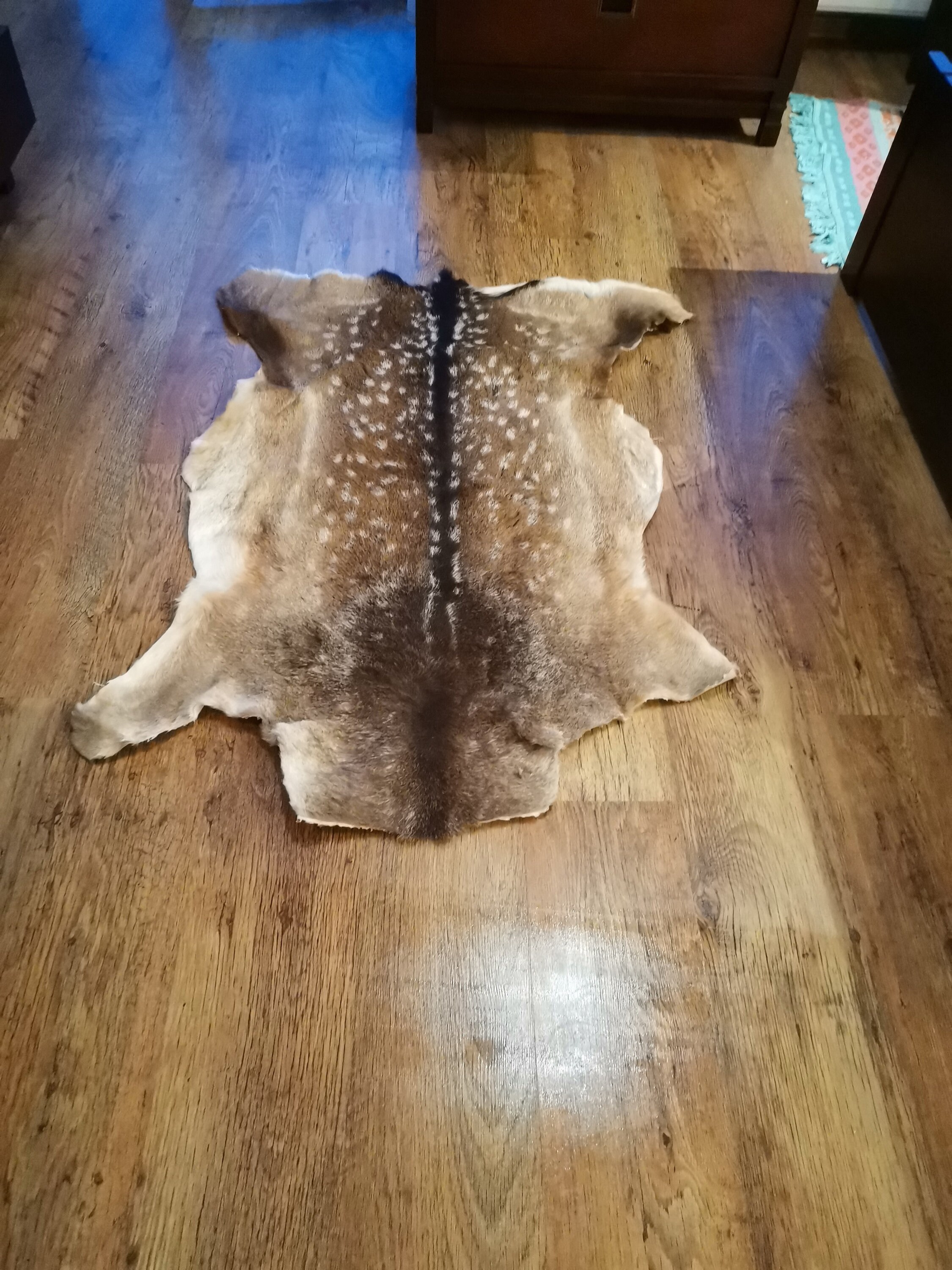 Fallow Deer Skin Hide Area Rug Fur dama Dama Living Room - Etsy Canada
