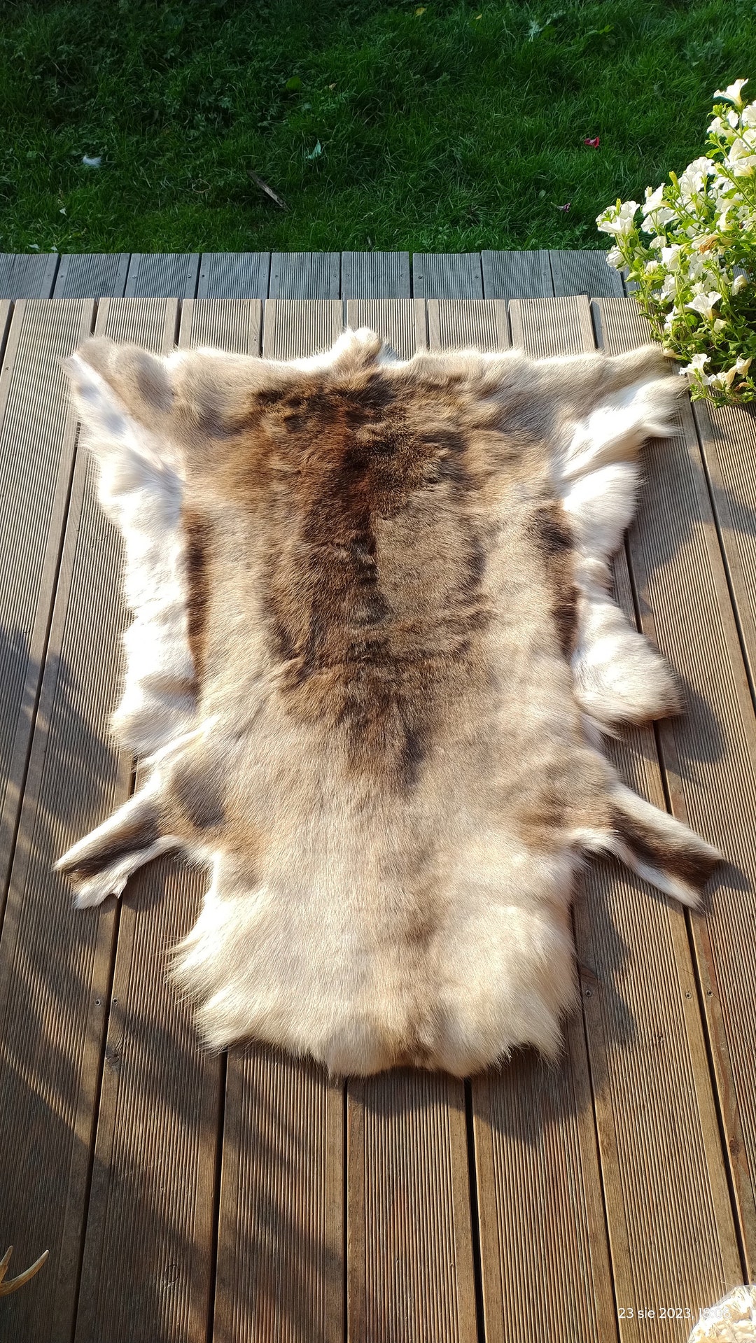 Reindeer Hide Skin Rug Pelt Fur. Luxury Home Decor. Very Soft Fluffy ...