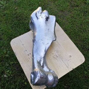Real Horse Bone Leg Painted in Silver Taxidermy Education - Etsy