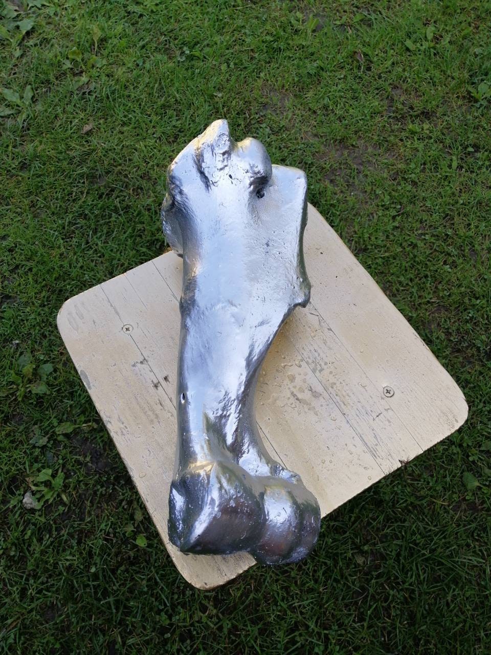 Real horse bone leg painted in silver taxidermy education | Etsy