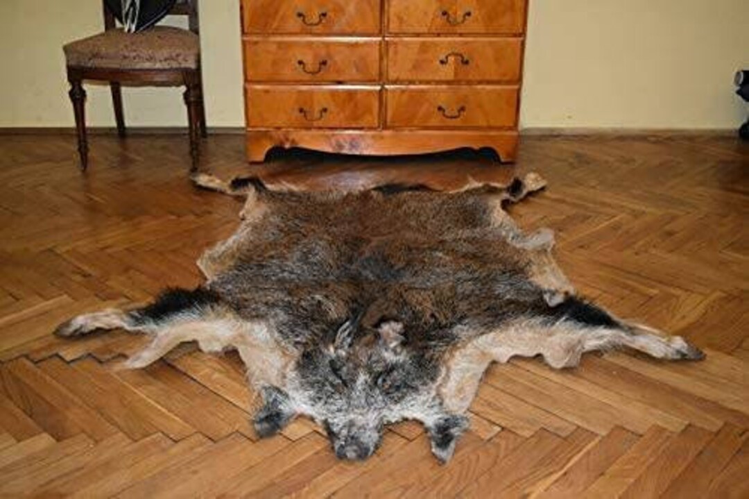 Real Giant European Wild Boar Skin Pelt Area Rug Hide Fireplace ...
