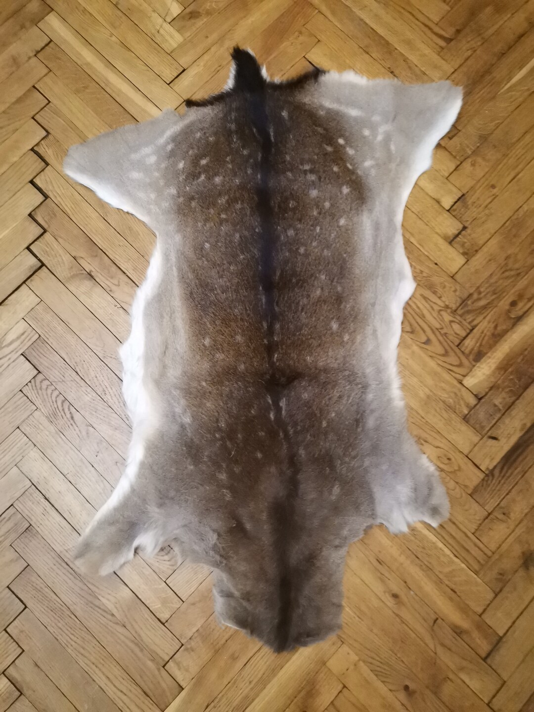 Fallow Deer Skin Hide Area Rug Fur dama Dama Living Room Hallway ...