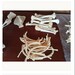 Continental European Wild Badger Complete Skeleton Taxidermy - Etsy