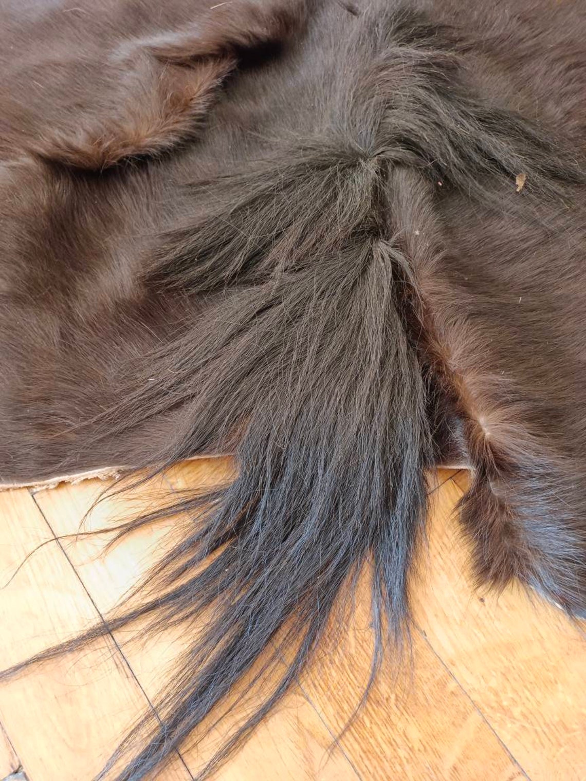 Giant Horse Skin Hide Real Natural Area Rug Living Room | Etsy