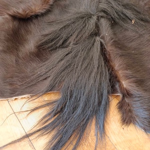 Giant Horse Skin Hide Real Natural Area Rug Living Room - Etsy