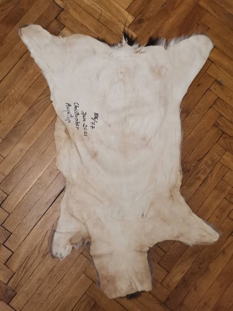 Fallow Deer Skin Hide Area Rug Fur dama Dama Living Room | Etsy