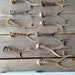 Set Bulk of 20 Deer Whole Antlers Not Cut up Antlers and Last Long With ...