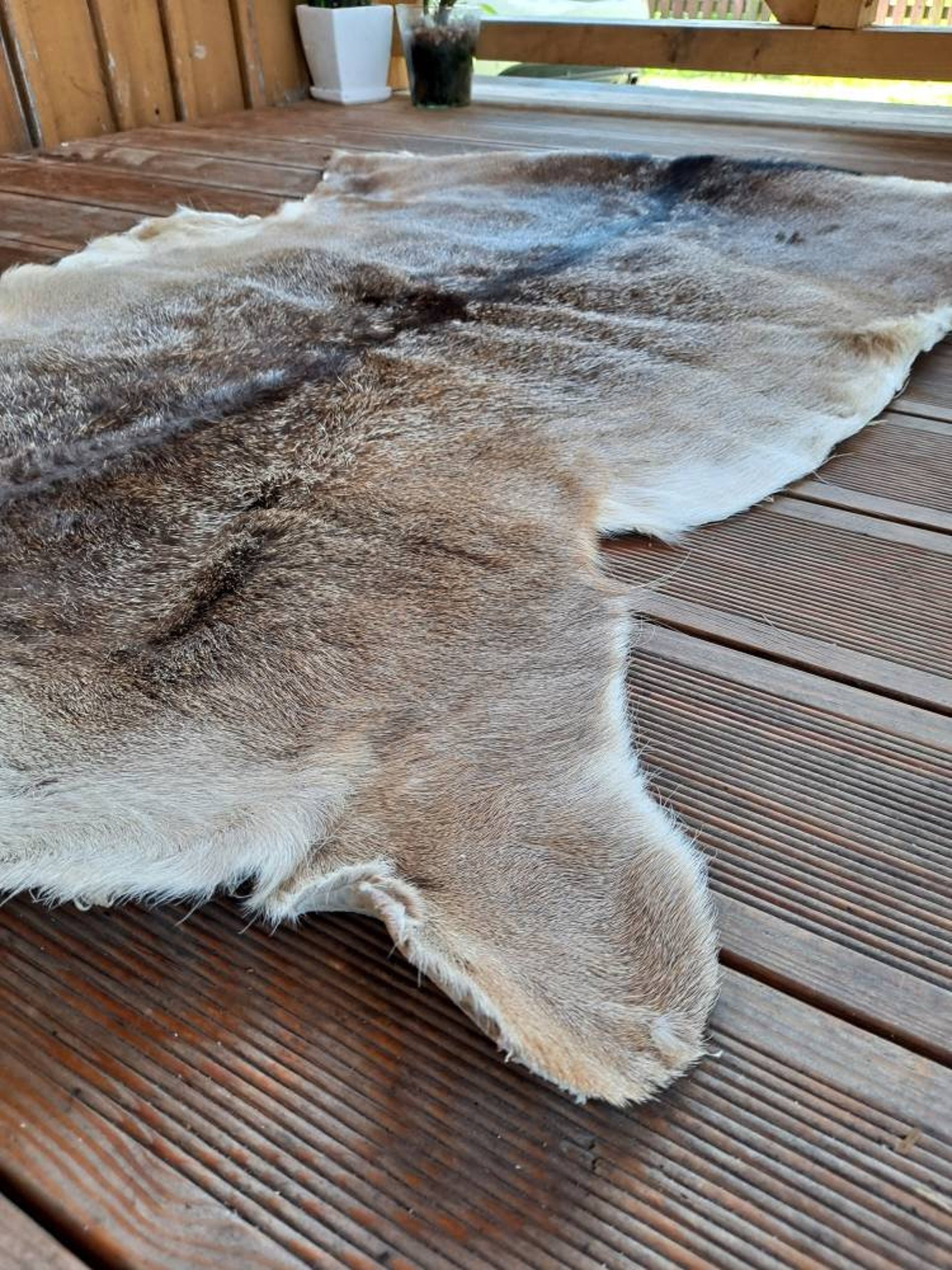 Large Fallow Deer Skin Hide Rug Fur Dama Dama Living Room | Etsy