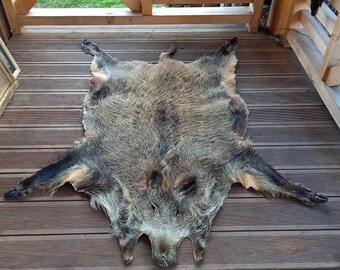 Wild Boar Skin - Etsy