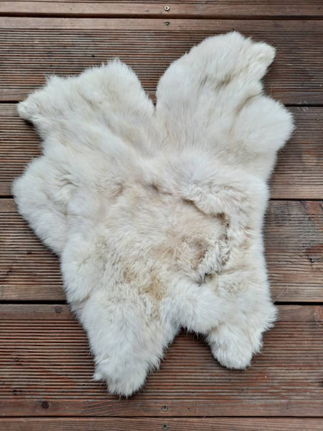 1 Quality Soft Rabbit Hide Skin Pelt Taxidermy Wall Floor - Etsy