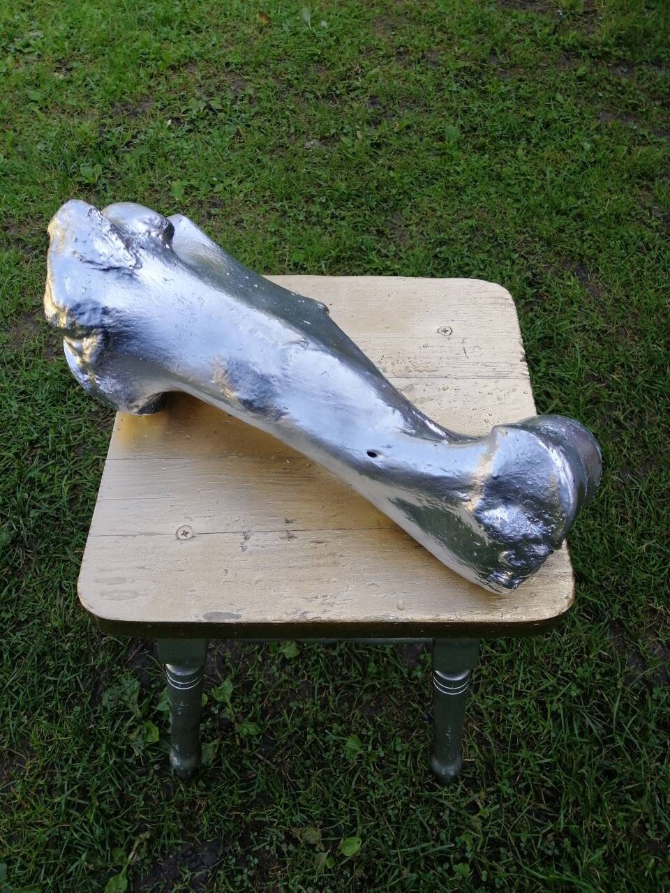 Real horse bone leg painted in silver taxidermy education | Etsy