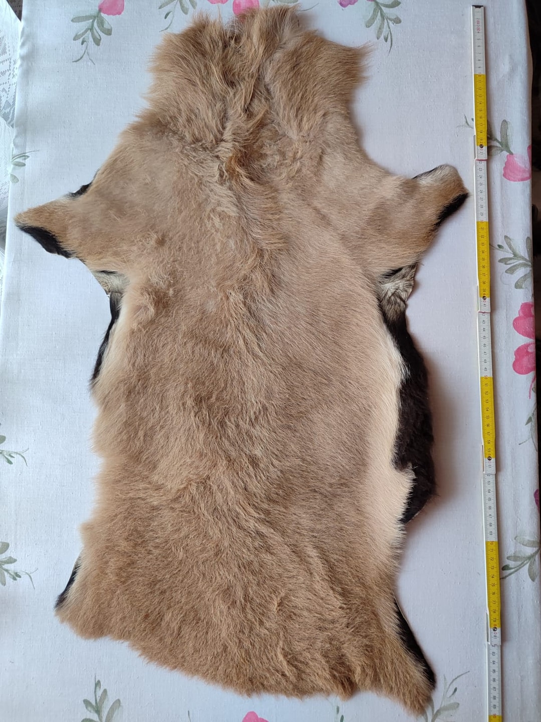 Wild Mouflon Skin Hide Pelt Fur Area Rug. Home Decor Natural Real ...