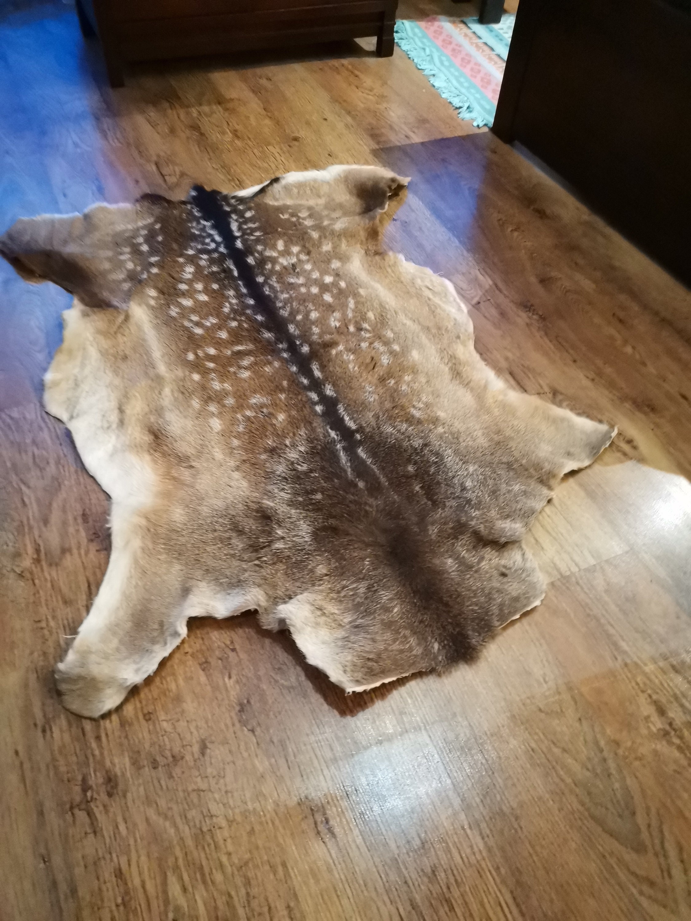 Fallow Deer Skin Hide Area Rug Fur dama Dama Living Room - Etsy Canada