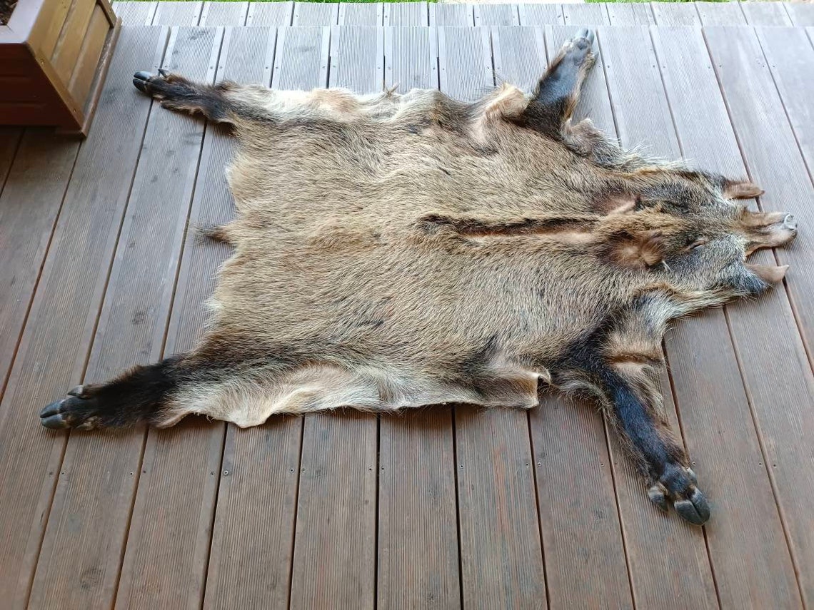 Real Giant European Wild Boar Skin Hooves Hide Pelt Area Rug - Etsy