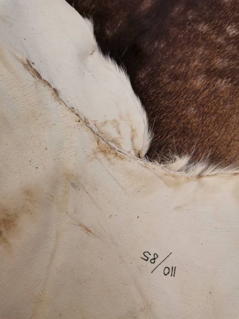 Fallow Deerskin Hide Area Rug Fur Home Decor Living Room - Etsy