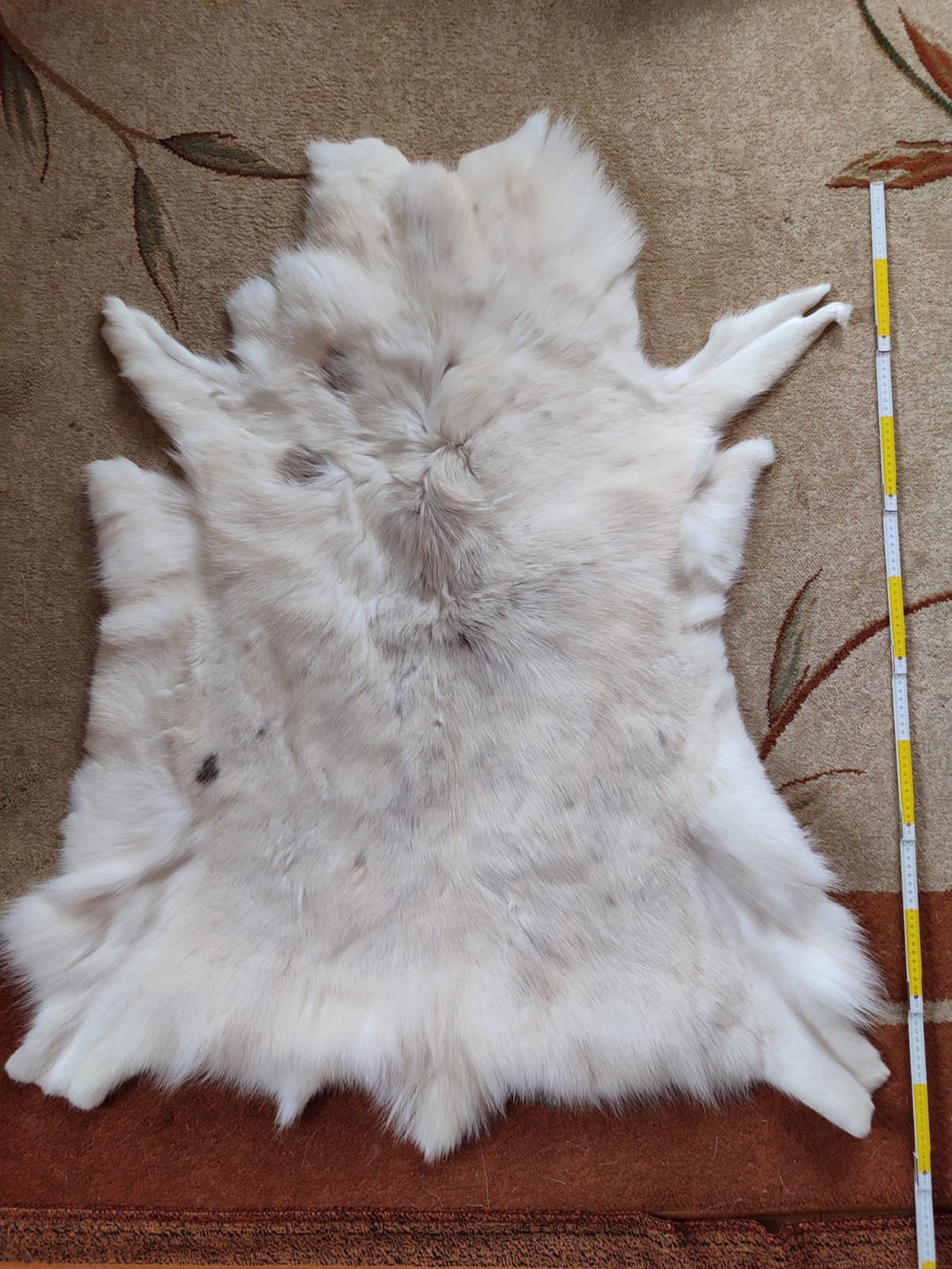 Norwegian Reindeer Skin Fur Hide Pelt rangifer Tarandus Soft - Etsy
