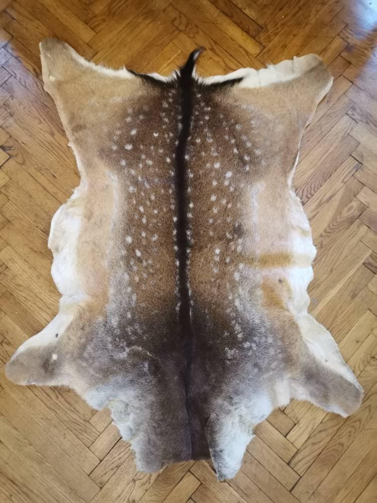 Large Fallow Deerskin Hide Area Rug Fur dama Dama Home Decor - Etsy