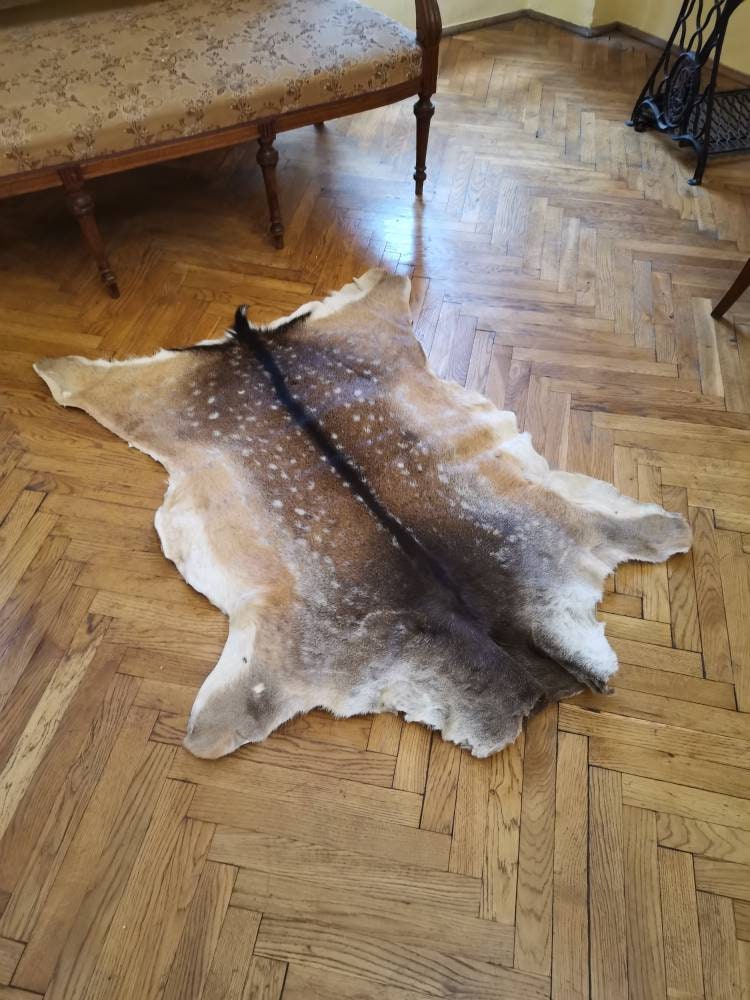 Large Fallow Deerskin Hide Area Rug Fur dama Dama Home Decor - Etsy