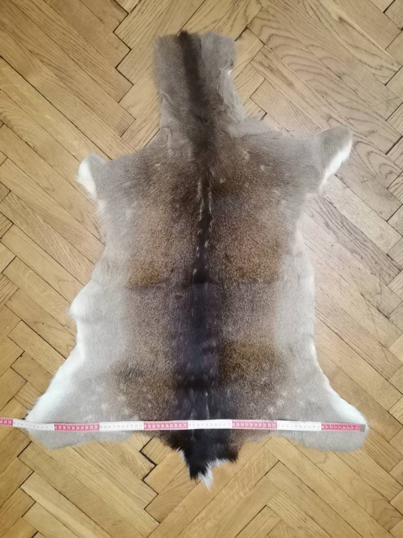 Fallow deerskin hide area rug fur home decor living room | Etsy