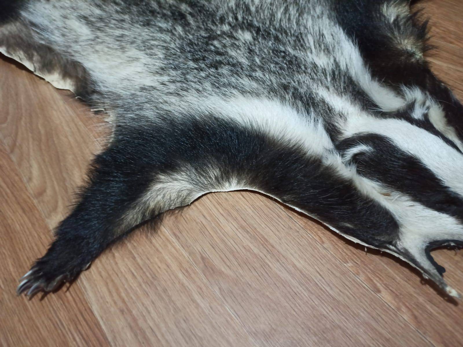 Continental European wild badger skin rug hide fur pelt | Etsy