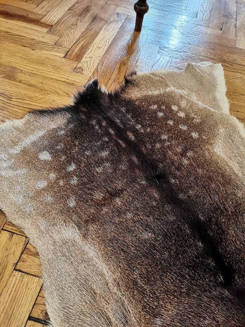 Fallow Deerskin Hide Area Rug Fur Home Decor Living Room - Etsy