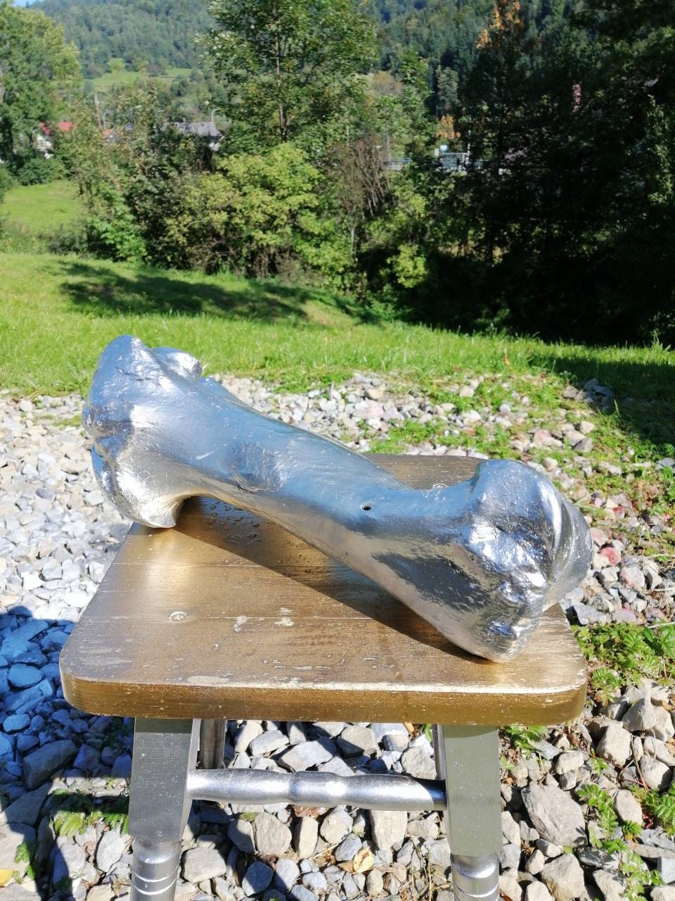 Real horse bone leg painted in silver taxidermy education | Etsy