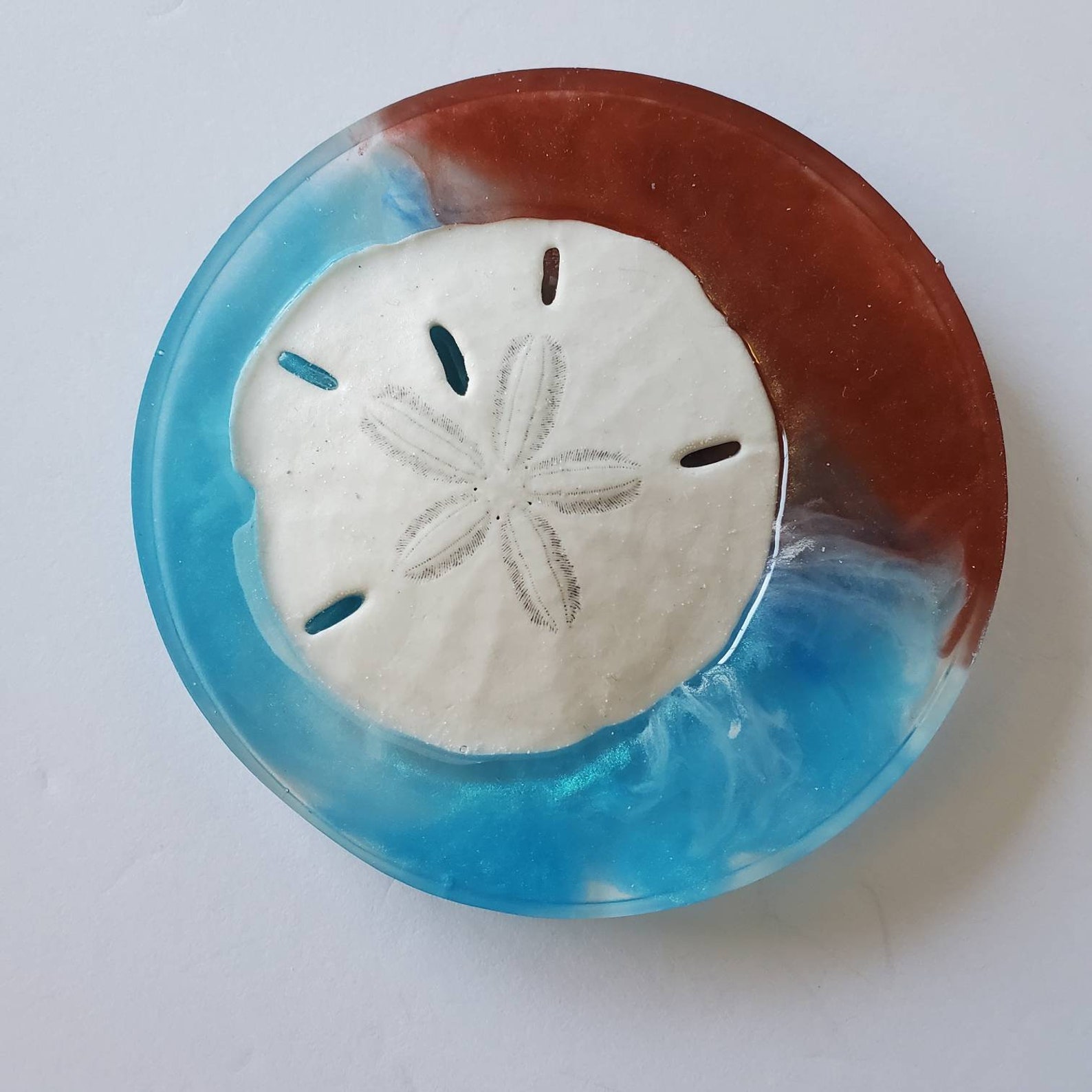 Sand Dollar Beach Decor Gift Set, Beach Ocean Seashell, Seashell Beach ...