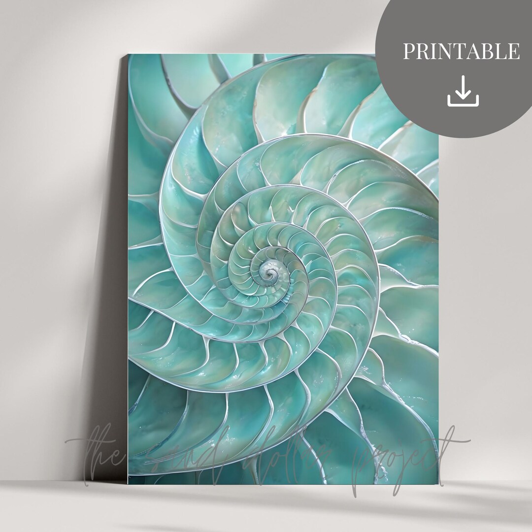 Seashell Wall Art, Digital Wall Art Printables, Coastal Prints, Beach ...