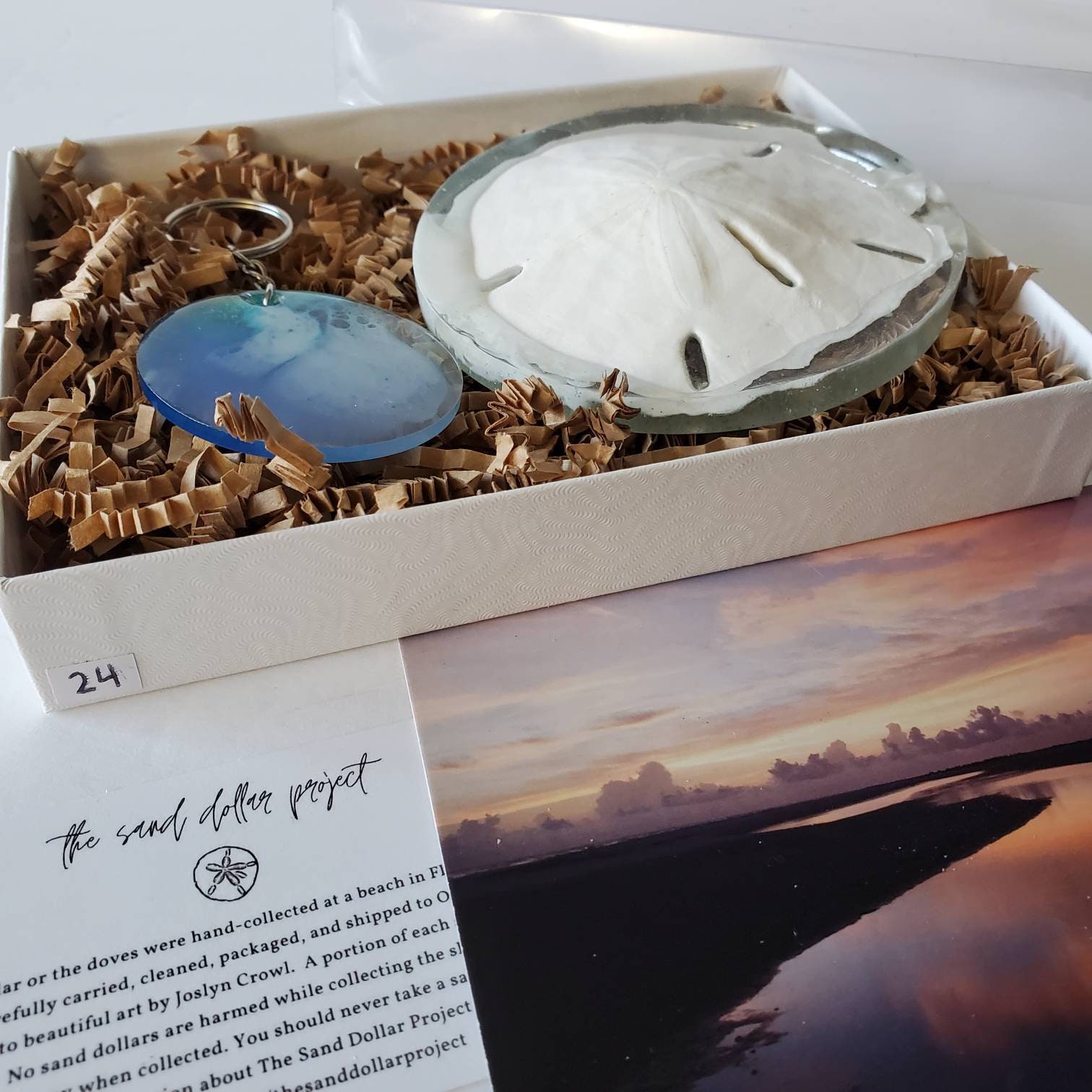 Sand Dollar Sanddollar Gift Set Seashell Beach Decor Sand - Etsy