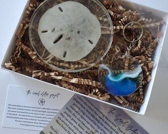Sand Dollar Beach Decor Gift Set, Beach Ocean Seashell, Seashell Beach ...