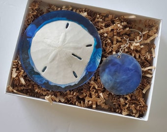 Sand Dollar Beach Decor Gift Set, Beach Ocean Seashell, Seashell Beach ...