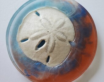Sand Dollar Beach Decor Gift Set, Beach Ocean Seashell, Seashell Beach ...