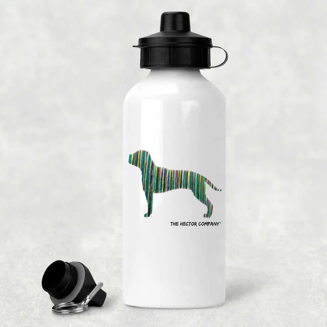 Boxer Dog Water Bottle, Drinks Bottle, Doggy Parent Gift, Reusable ...