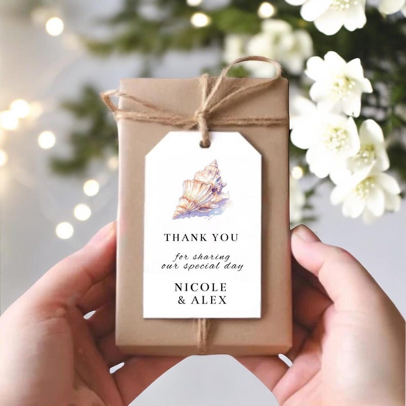 Seashell Favors - Etsy