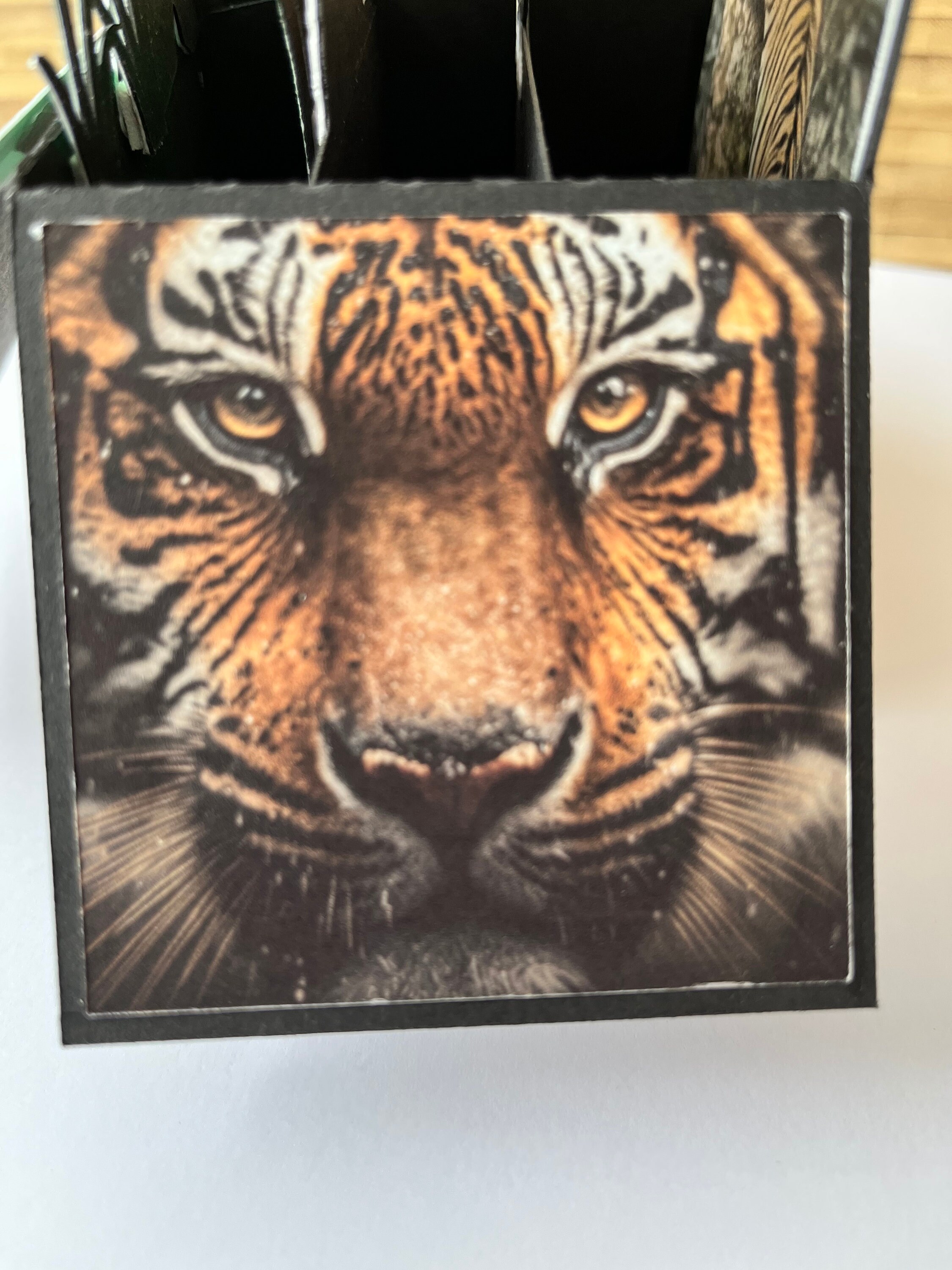 Tiger Pop up Box Card Tiger Card Birthday Celebration - Etsy UK