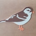 Sparrow Ornament and Cut Out SVG, DIY Cricut Digital Layered Image - Etsy