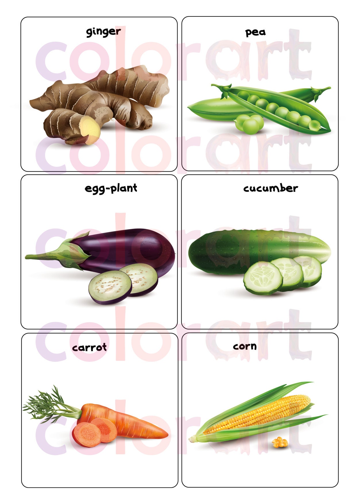 FRUITS VEGETABLE CARDS Preschool Learning Educational Material - Etsy