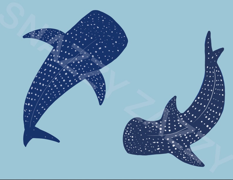 Whale Shark Digital Art Print - Immediate Download, Ocean Art, Whale ...