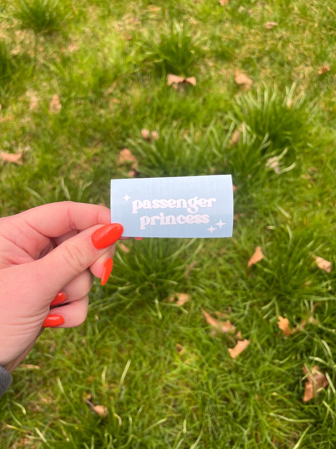 PASSENGER PRINCESS CAR Sticker Bumper Sticker Car Decal Sticker ...