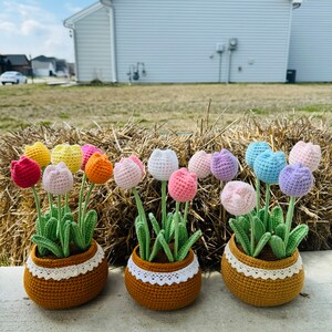 Crochet Tulip, Crochet Flower, Tulip Pot Amigurumi , Handmade Tulip ...