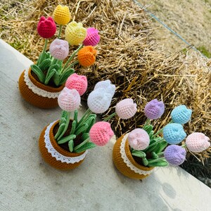 Crochet Tulip, Crochet Flower, Tulip Pot Amigurumi , Handmade Tulip ...