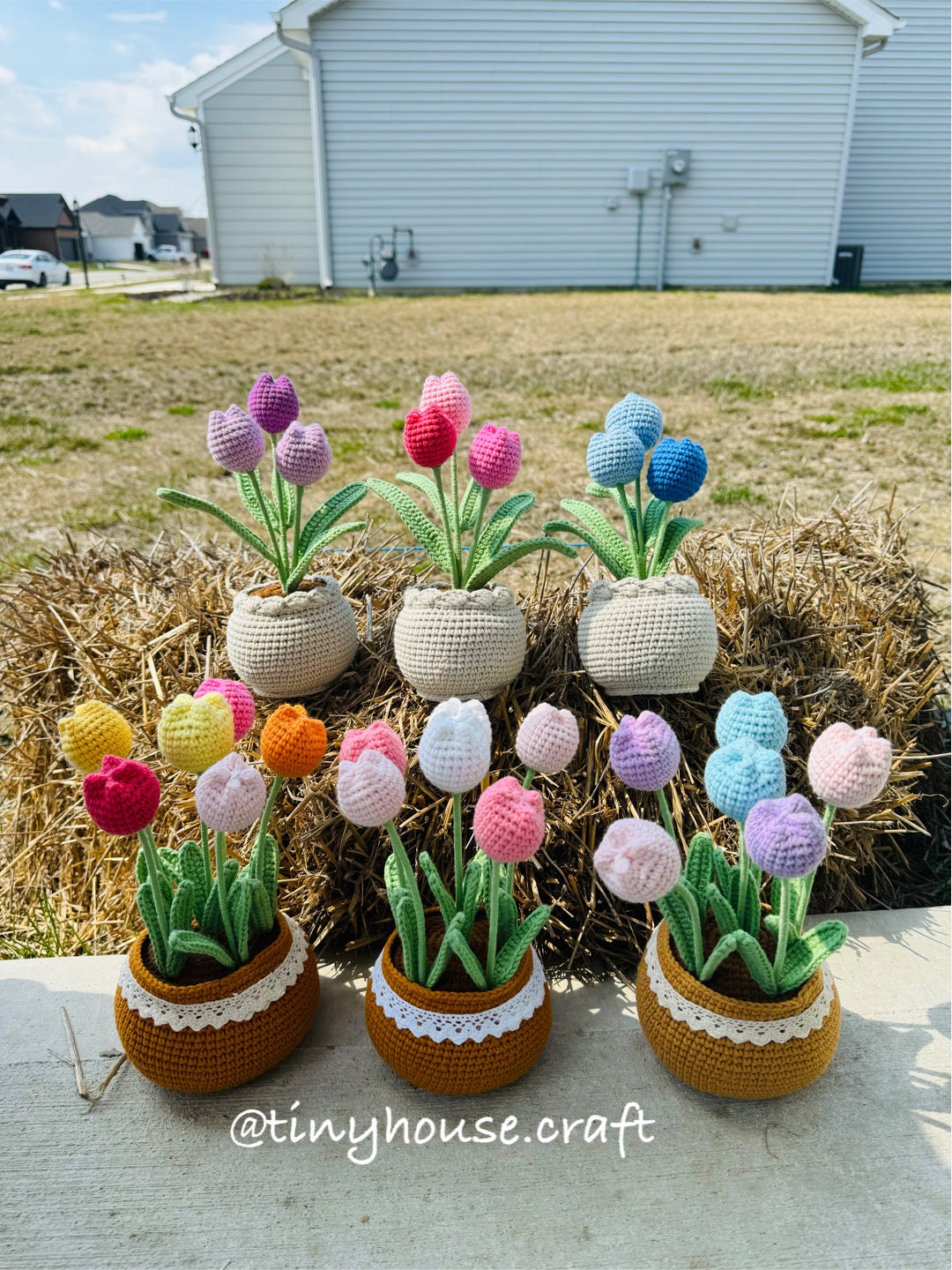 Crochet Tulip, Crochet Flower, Tulip Pot Amigurumi , Handmade Tulip ...