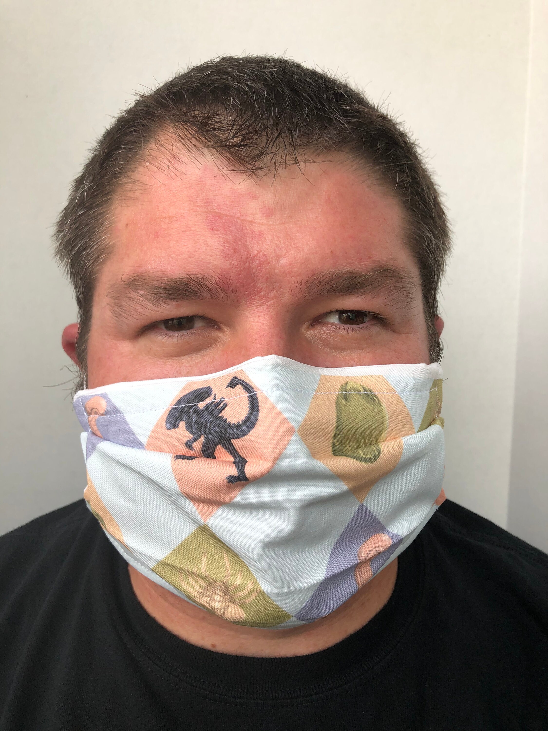 Aliens Argyle and Xenomorph Fabric Cotton Face Mask With Wire - Etsy