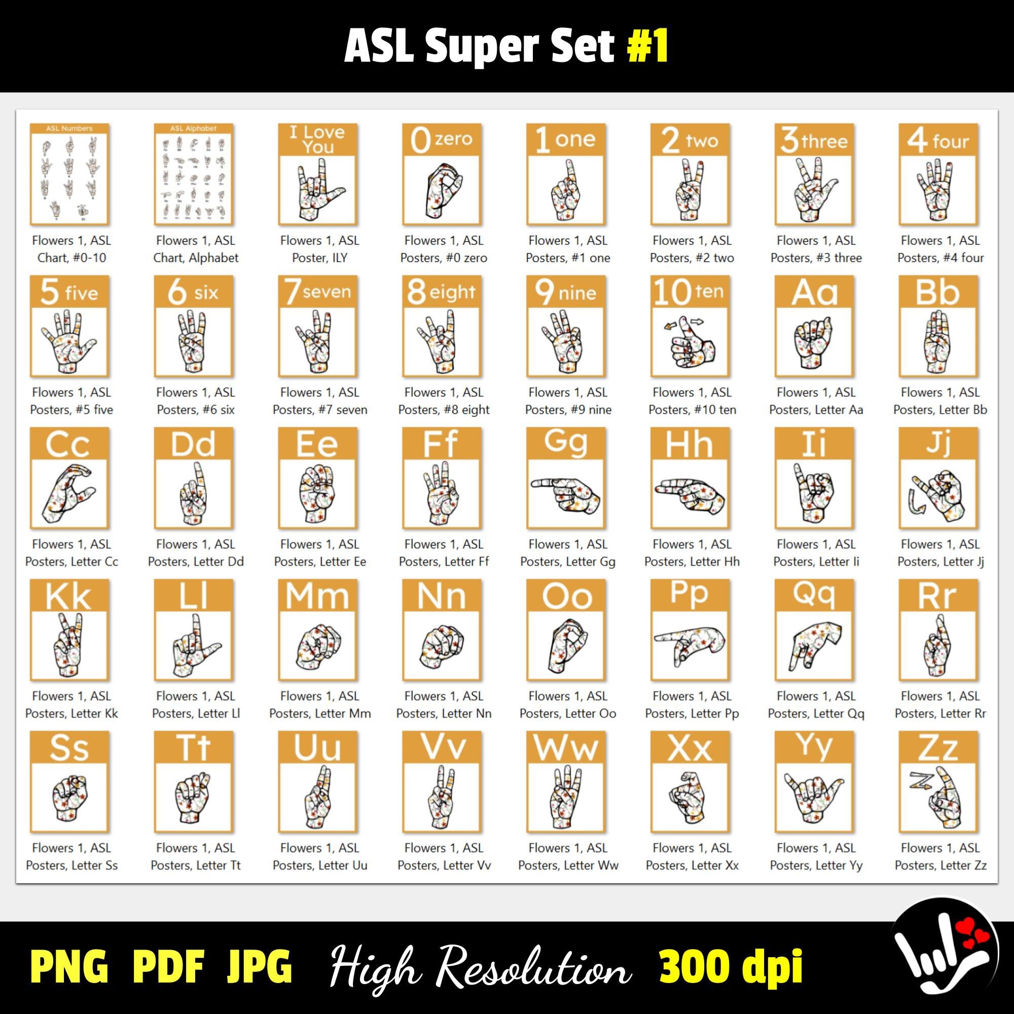 ASL Alphabet Numbers Ilys Flower Super Sets Clipart Charts - Etsy