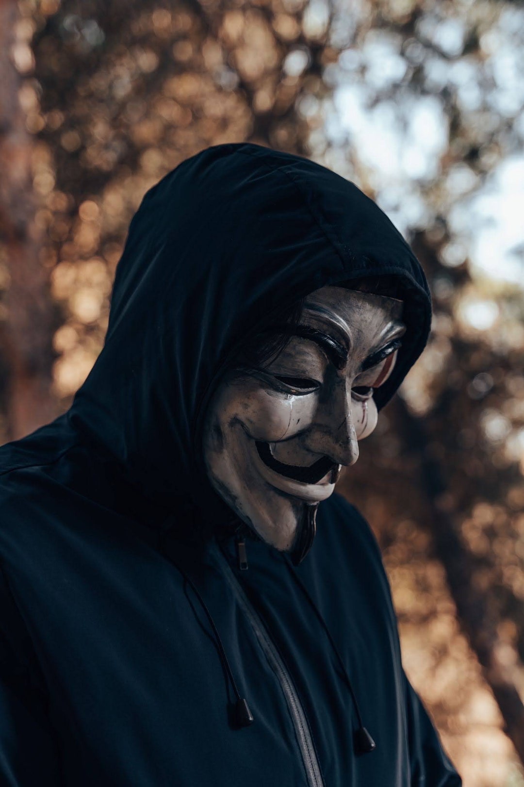 Anonymous Mask Carnival Mask Guy Fawkes V for Vendetta - Etsy