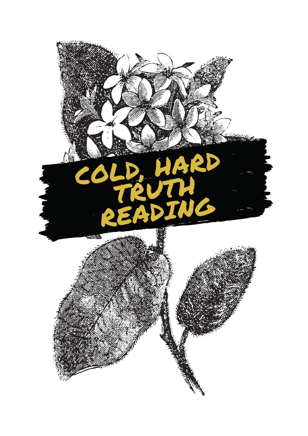 Cold, Hard Truth Reading - Etsy