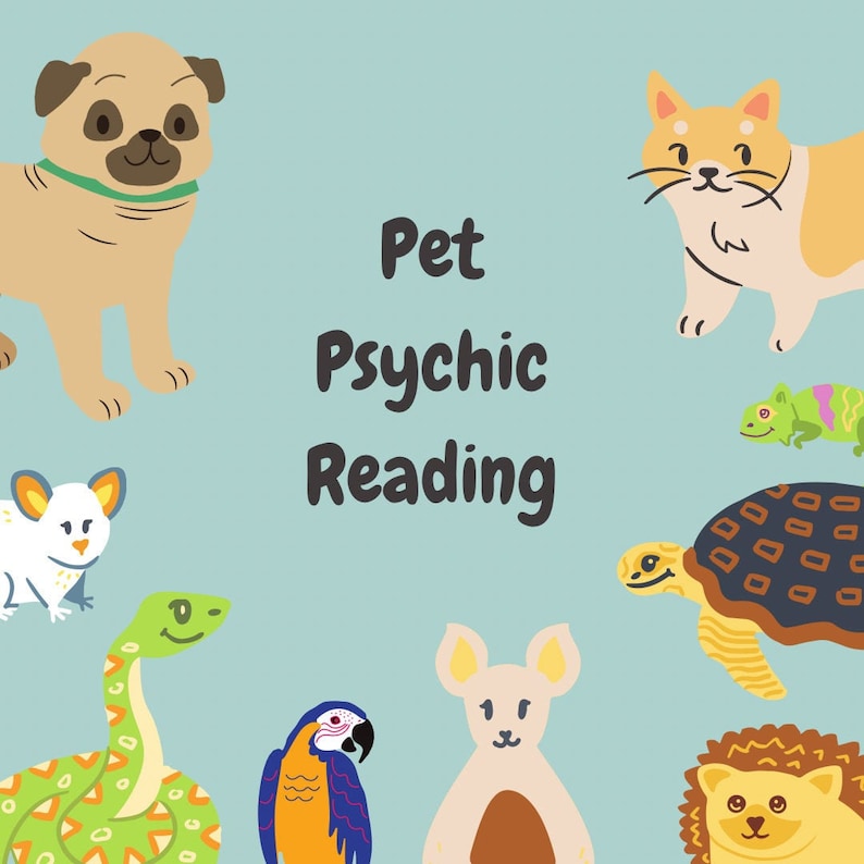 Pet Psychic Reading | Etsy