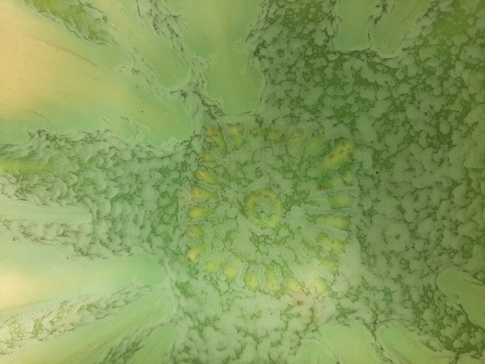 Rare Crown Devon Art Deco Artware Bowl Handpainted Splatter Pattern C ...