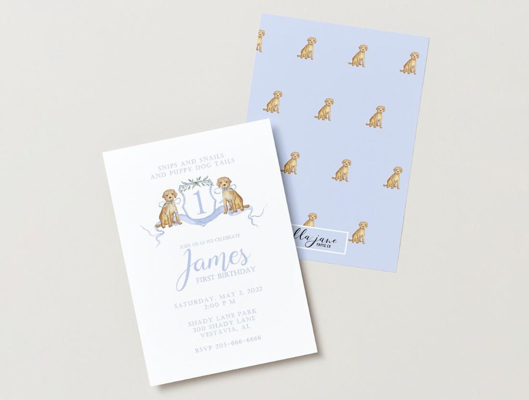 Snips and Snails Birthday Invitation L Birthday Party Invitation | Boy ...