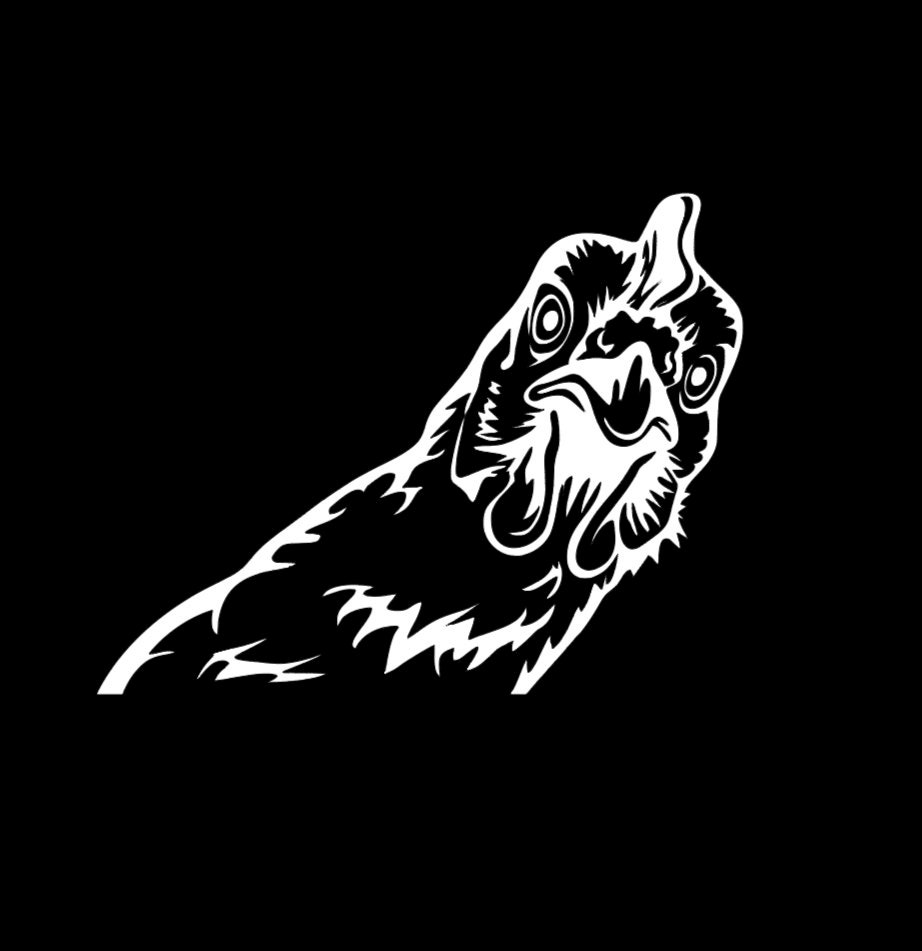 Peeking Chicken Vinyl Decal Sticker - Etsy